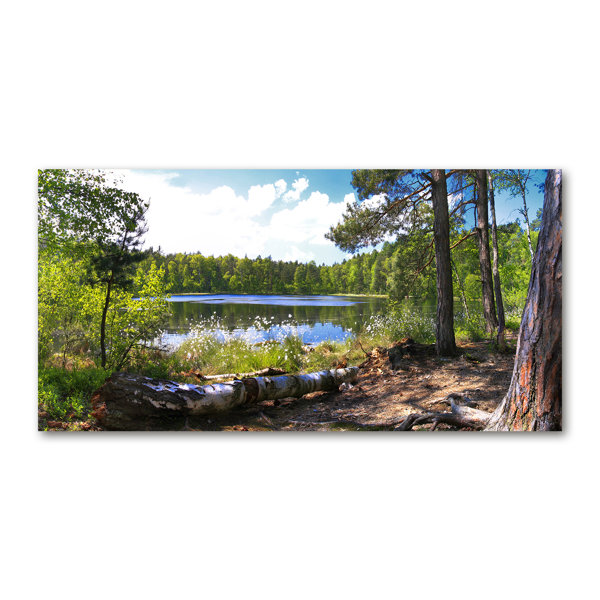 Union Rustic Waldpanorama - Ungerahmte Kunstdrucke auf Leinwand | Wayfair.de